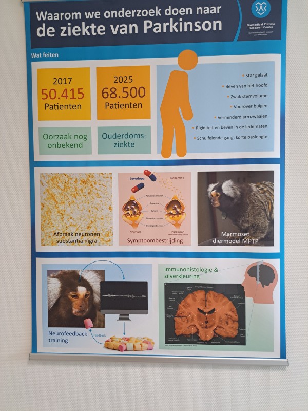 Blog: De rondleiding bij het Biomedial Primate Research Centre ...